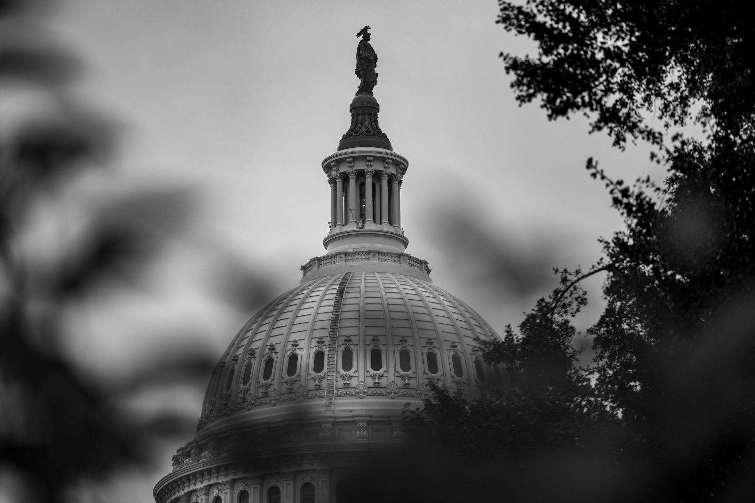 Brownley Condemns Trump’s Dangerous Calls for Violence Against ...